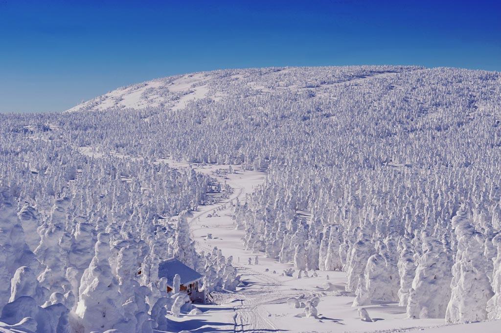 Photos - Gîte du Mont-Albert - Parcs Québec - Sépaq