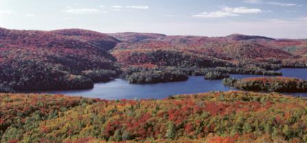 Photos - Réserve faunique de Papineau-Labelle - Réserves fauniques - Sépaq