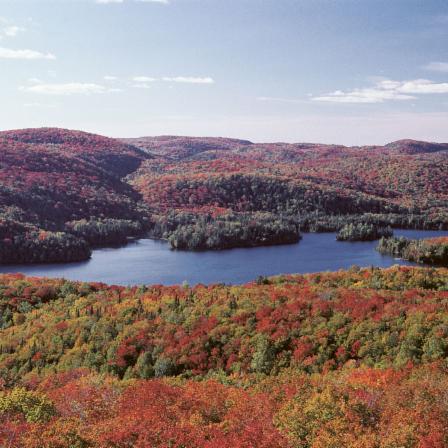 Photos - Réserve faunique de Papineau-Labelle - Réserves fauniques - Sépaq