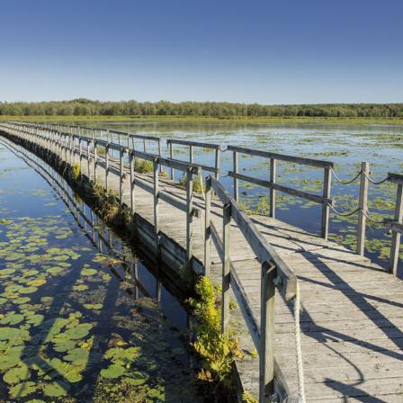 Photos - Parc national d'Oka - Parcs Québec - Sépaq