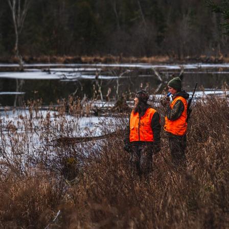 Photos - Réserve faunique de Papineau-Labelle - Réserves fauniques - Sépaq
