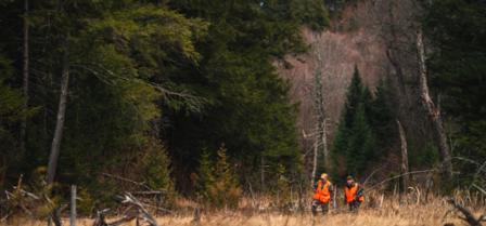 Photos - Réserve faunique de Papineau-Labelle - Réserves fauniques - Sépaq