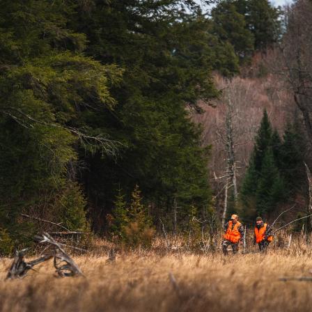 Photos - Réserve faunique de Papineau-Labelle - Réserves fauniques - Sépaq